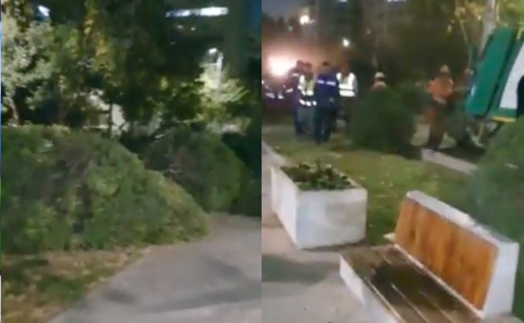 Toshkent shahar hokimligi Bobur ko‘chasida kesilgan archalar yuzasidan ...